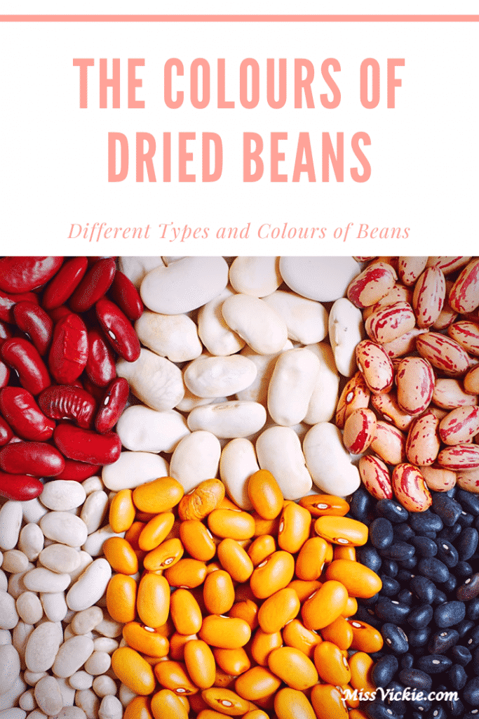 The Colours of Dried Beans (Different Types and Colours of Beans ...
