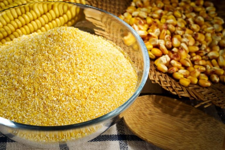 Black Specks In Cornmeal: How to Avoid Bugs in Cornmeal? - Miss Vickie