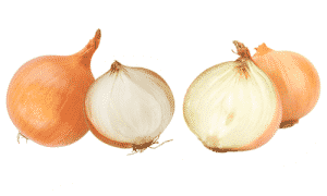 5 Best Onion For Chili (Explained) - Miss Vickie