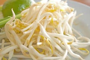 Here's How To Tell If Bean Sprouts Have Gone Bad - Miss Vickie