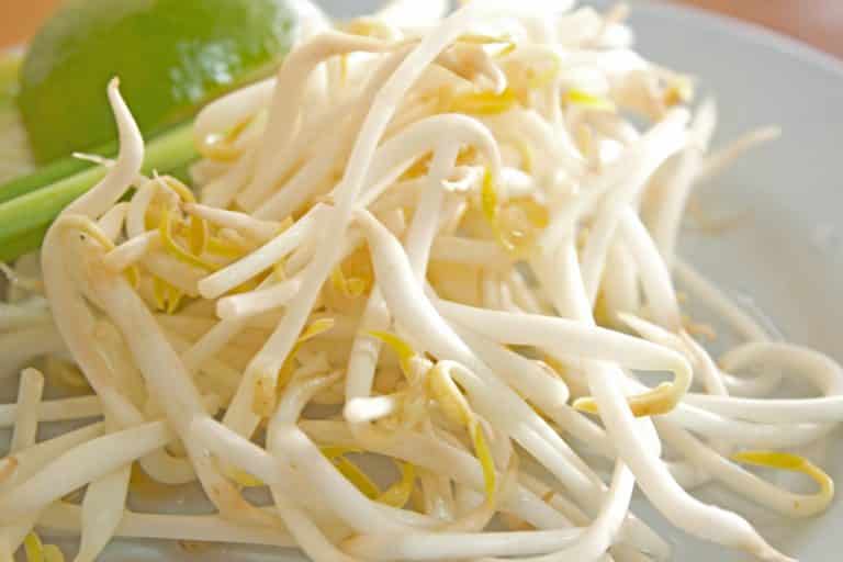Here's How To Tell If Bean Sprouts Have Gone Bad - Miss Vickie