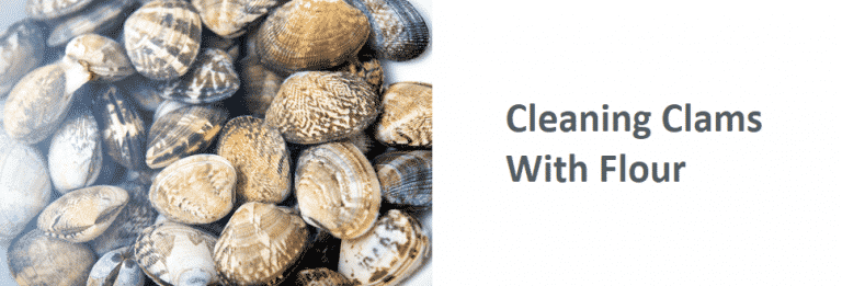 6 Steps For Cleaning Clams With Flour - Miss Vickie