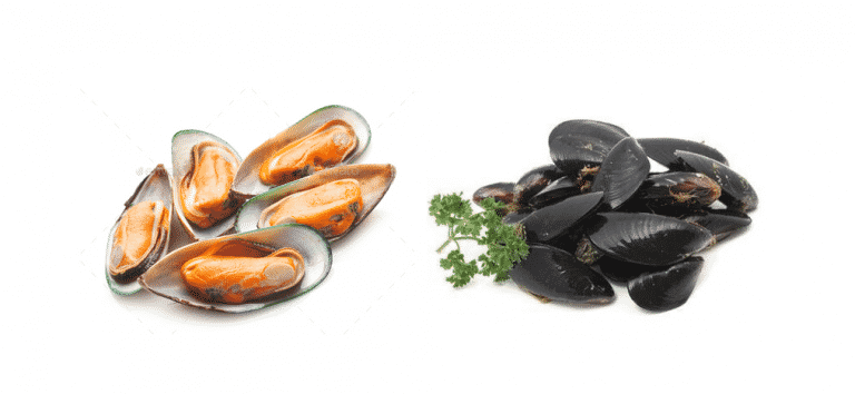 Green Mussels vs Black Mussels: What's The Difference? - Miss Vickie