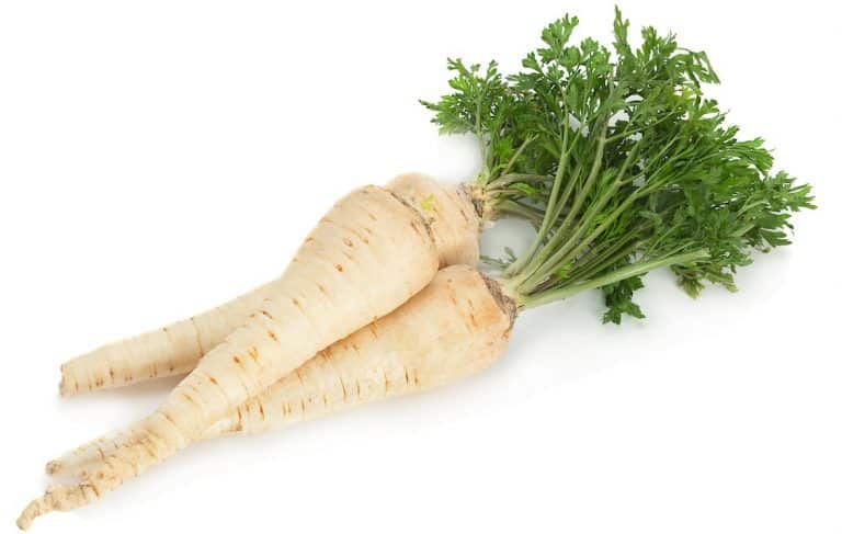 10 Best Turnip Substitutes You Can Try - Miss Vickie