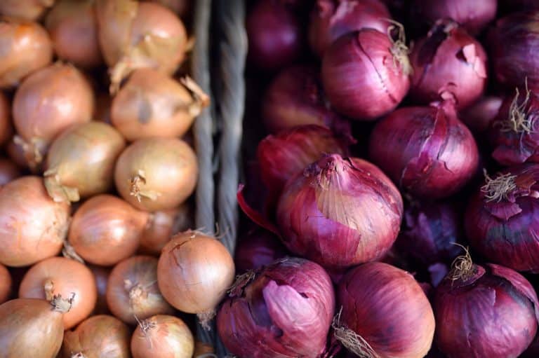 What's The Best Onion For Caramelizing? (Answered) - Miss Vickie What's The Best Onion For Caramelizing? (Answered) - Miss Vickie