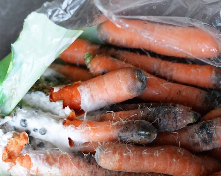 Why Is There White Slime On My Carrots? - Miss Vickie