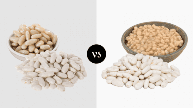 Cannellini Beans vs Great Northern Beans: What's The Difference? - Miss ...