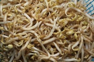 Here's How To Tell If Bean Sprouts Have Gone Bad - Miss Vickie