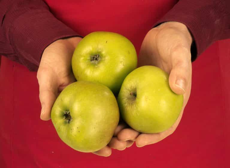 8 Best Substitutes For Bramley Apples - Miss Vickie